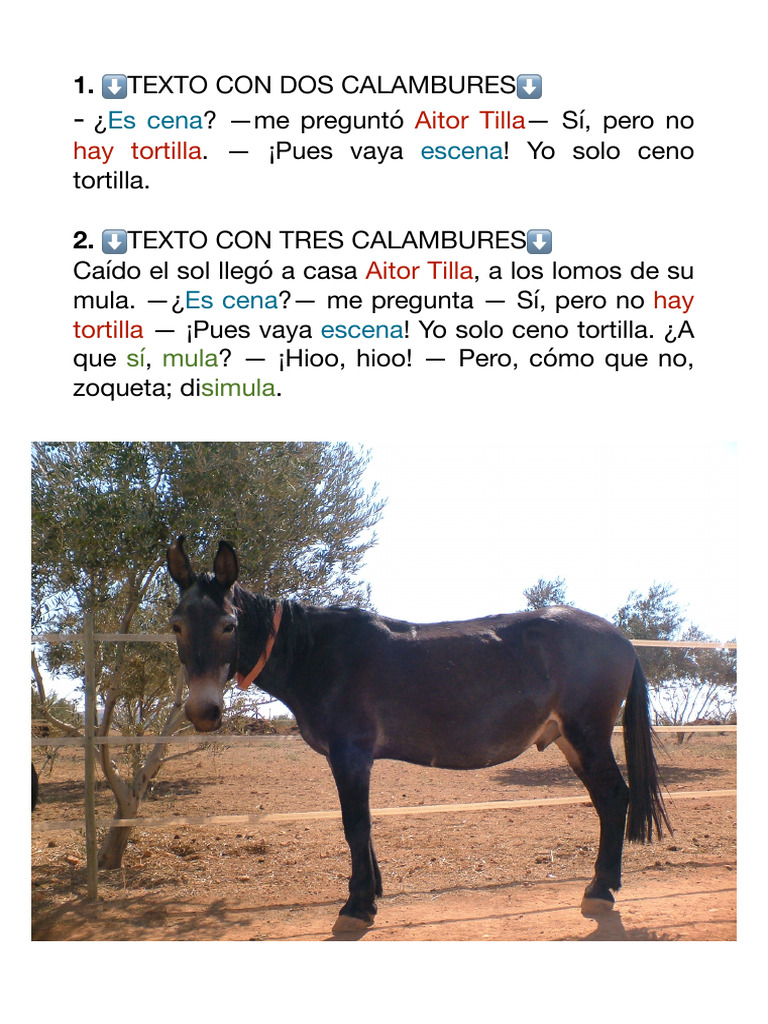 Calambures con Aitor Tilla y su Mula | PDF