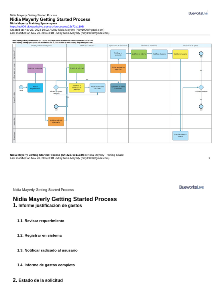 Nidia Mayerly Getting Started Process | PDF