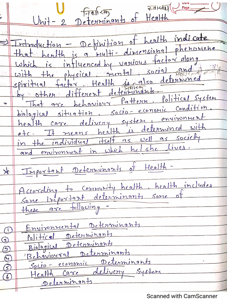 CHN Unit 2 Determinants of Health | PDF