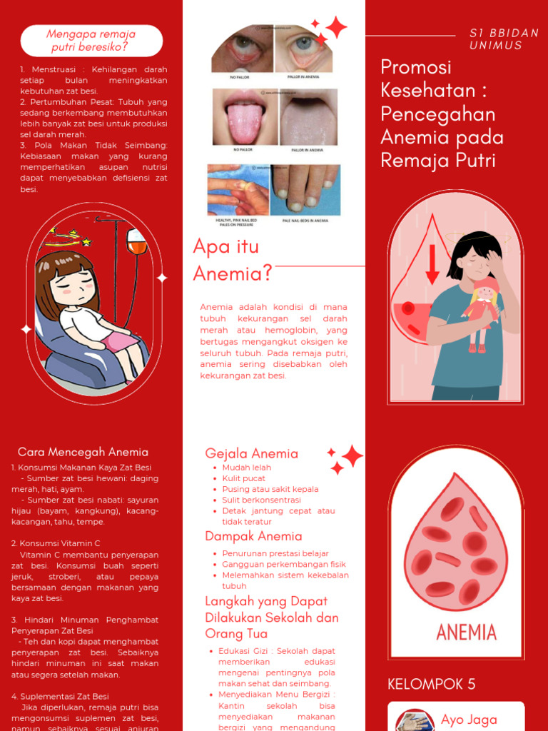 Anemia Leflet - 20240929 - 202942 - 0000 | PDF