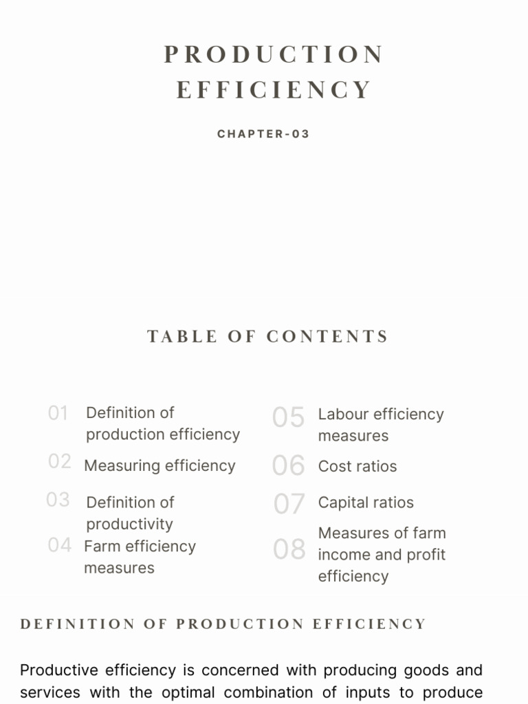 Production Efficiency | PDF