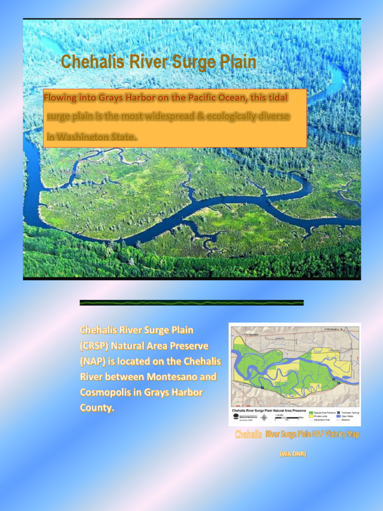 Chehalis River Surge Plain-Part-1 | PDF | Area | River