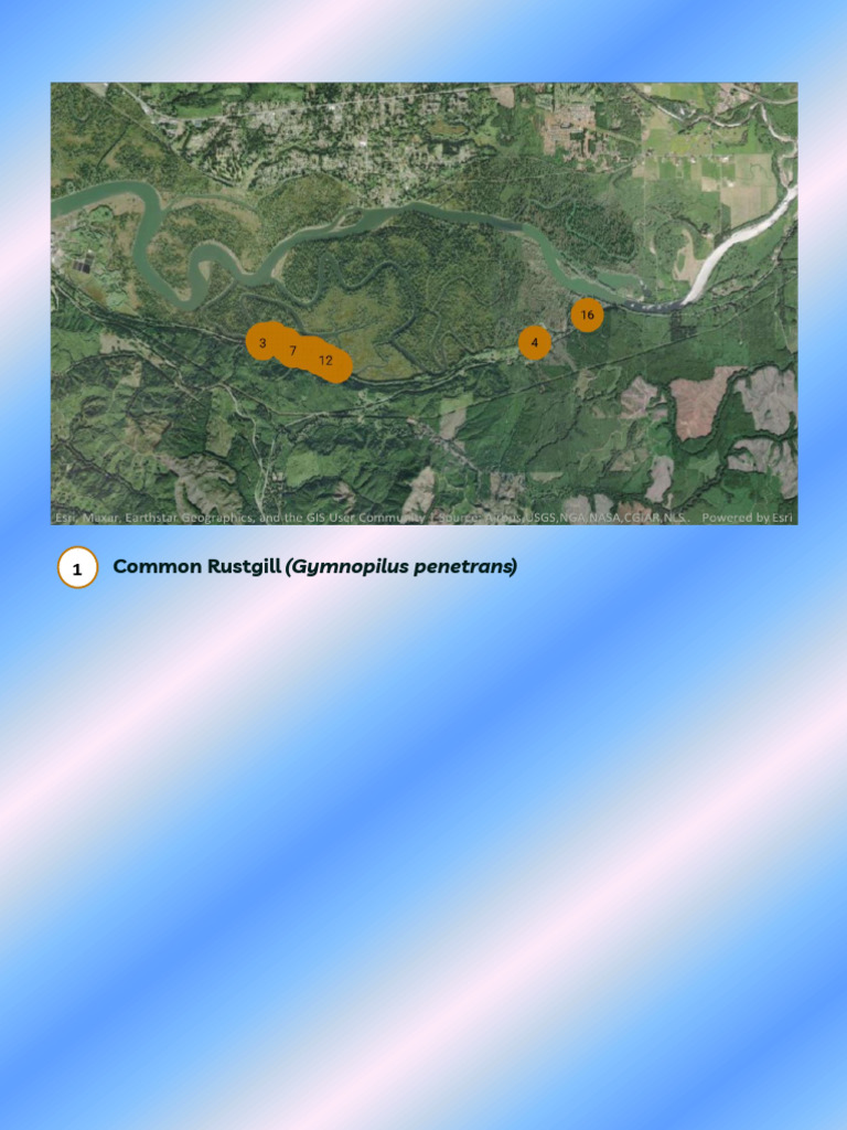 Chehalis River Surge Plain-Part-2 | PDF | Mycology | Fungus