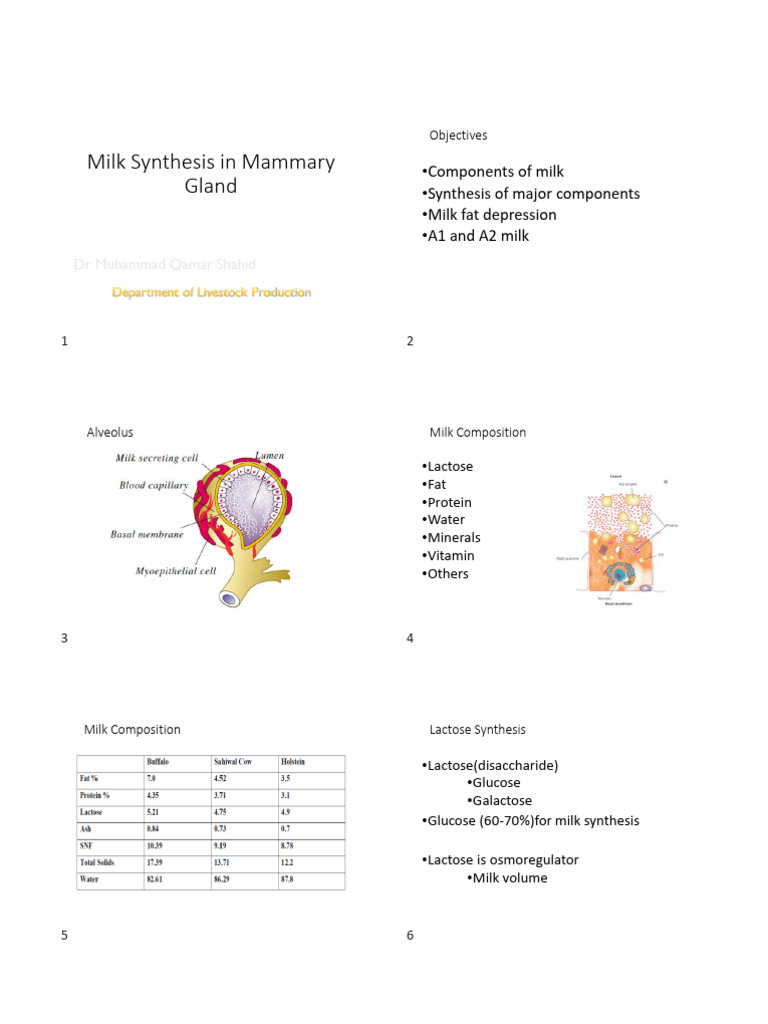 Milk Synthesis and Secretion | PDF | Fat | Fatty Acid