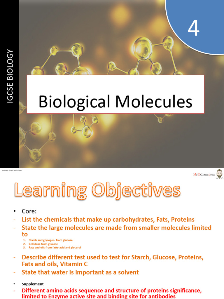 4 Biological Molecules | PDF | Carbohydrates | Fat