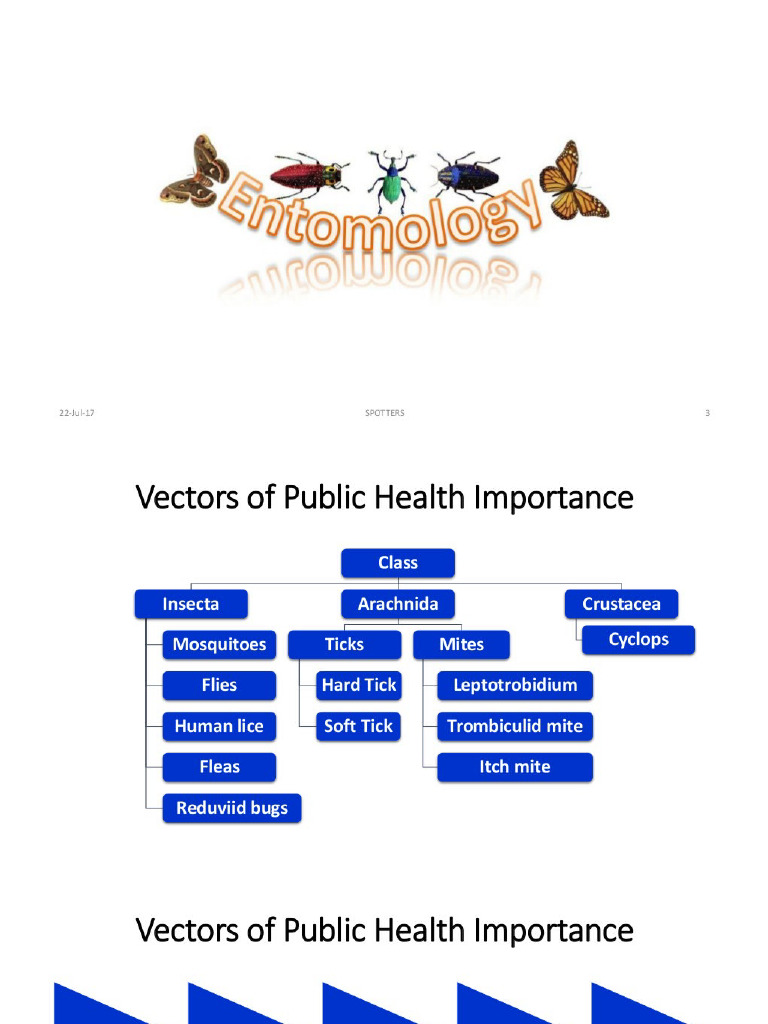 Entomology Spots | PDF