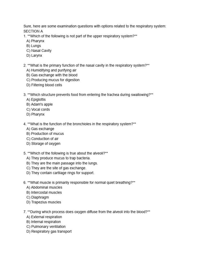 The Respiratory System Question and Any | PDF | Respiratory System ...