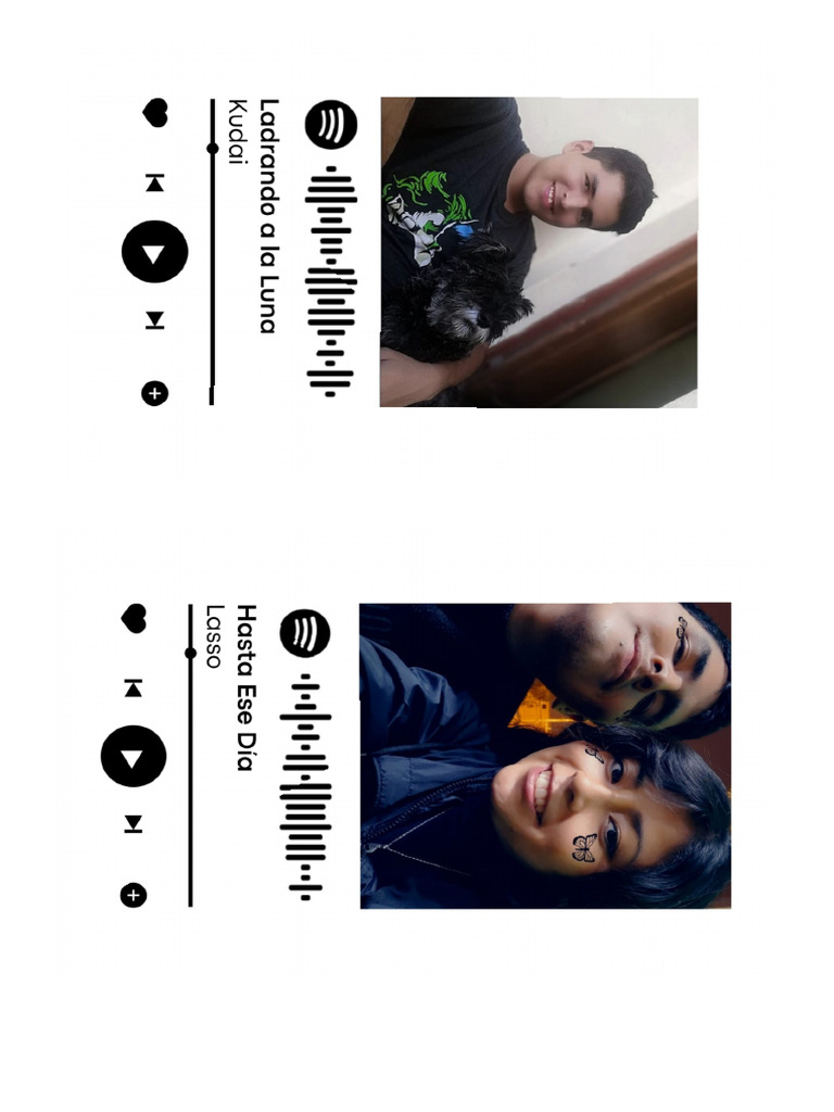 Recuerdos de Spotify | PDF