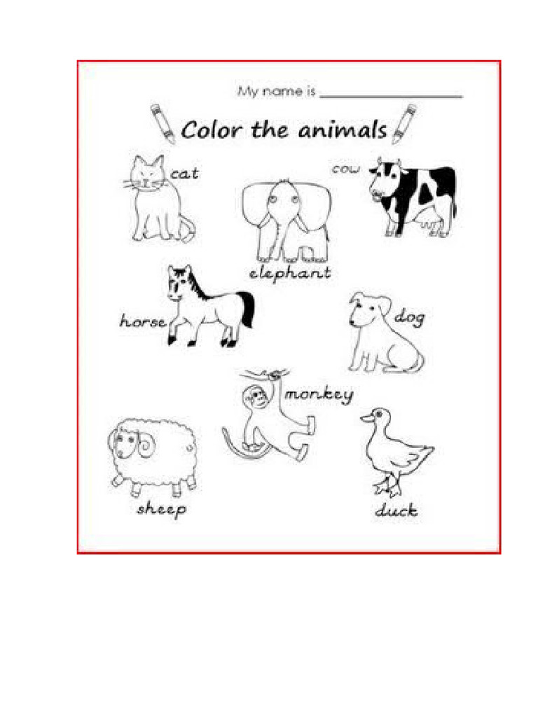 Animals | PDF