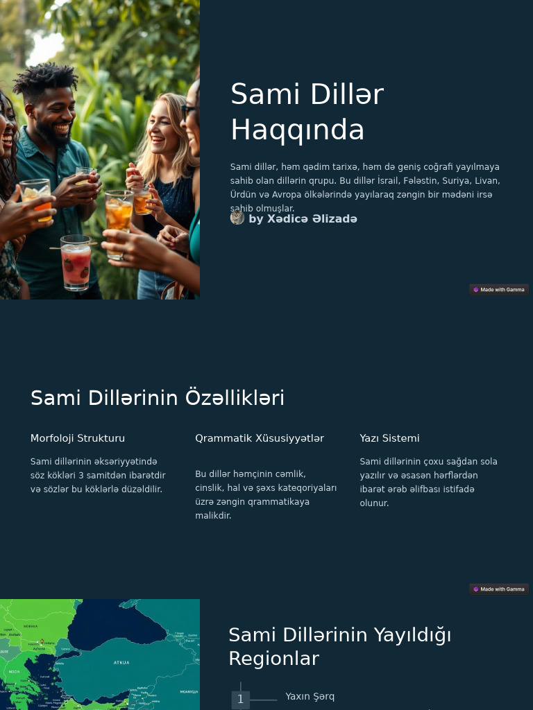 Sami Diller Haqqinda | PDF