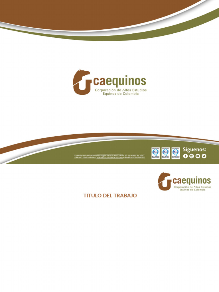 Plantilla Exposicion Final 1 - 2022 | PDF