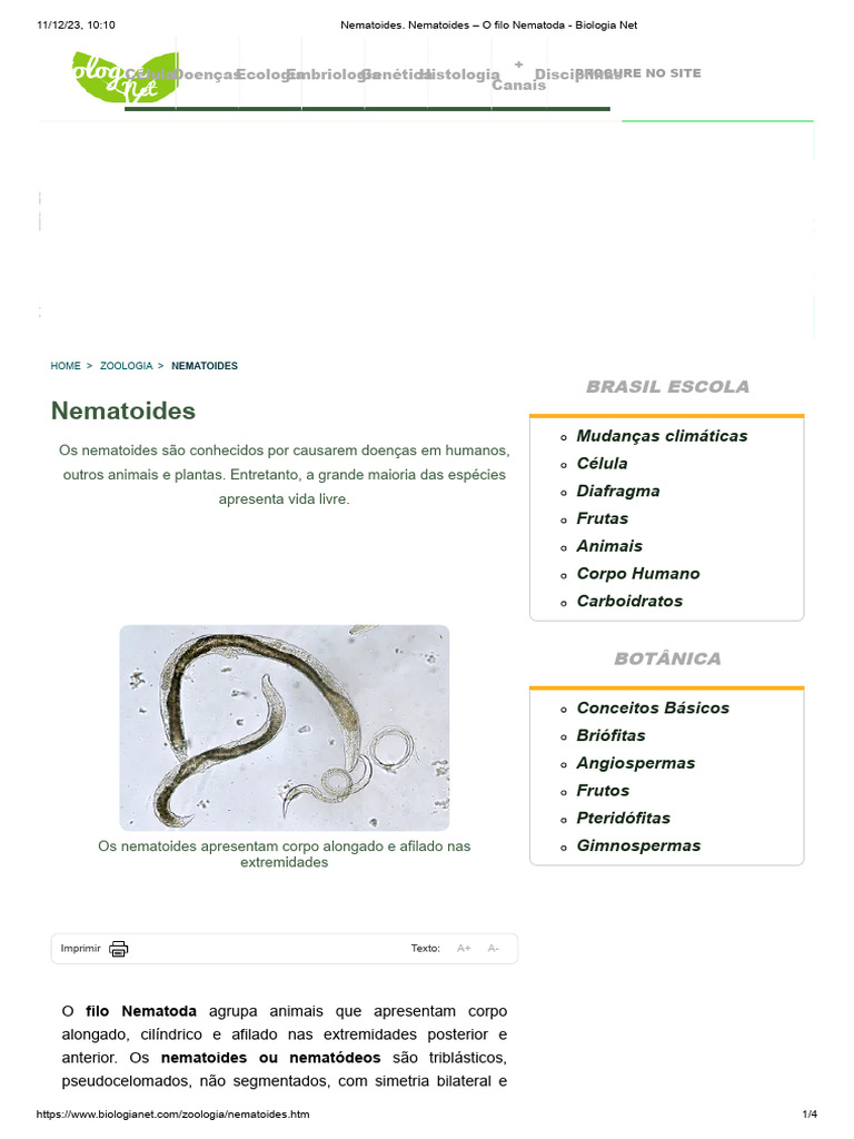 Nematoides. Nematoides – O filo Nematoda - Biologia Net | PDF | Nematoda