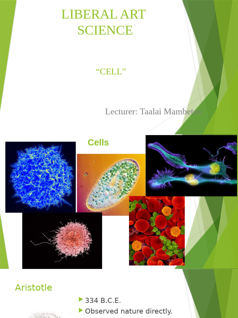 CELL | PDF | Cell (Biology) | Organelle