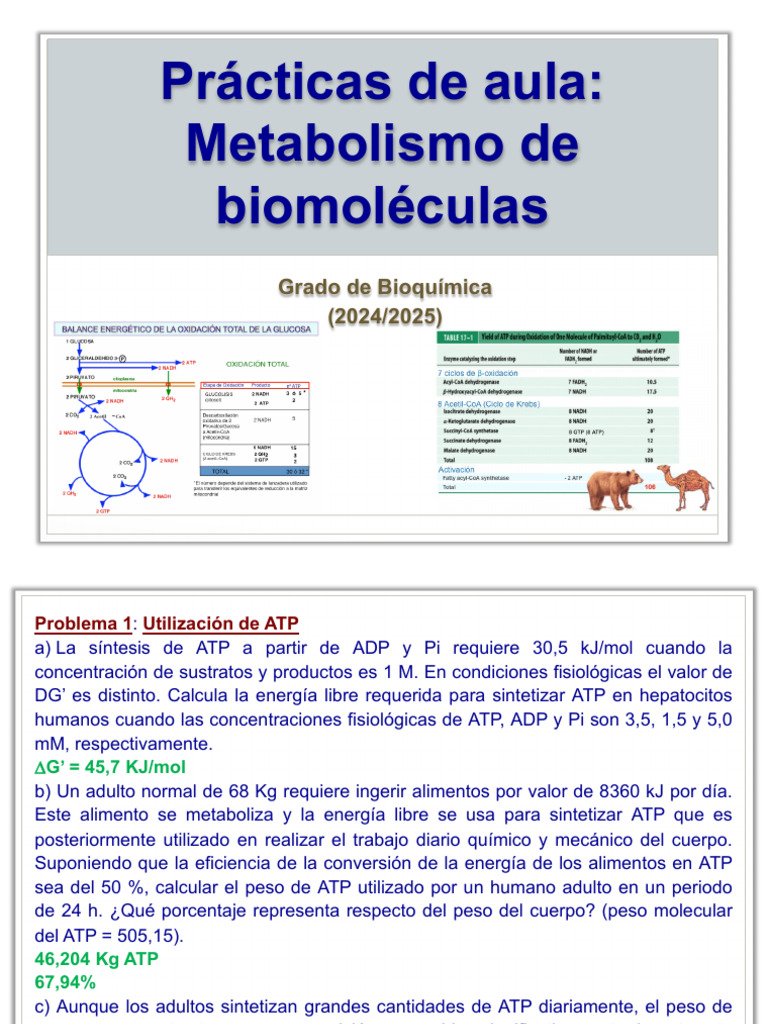 Ecuaciones y Metabolismo de Glucólisis | PDF | Trifosfato de adenosina | Glucólisis