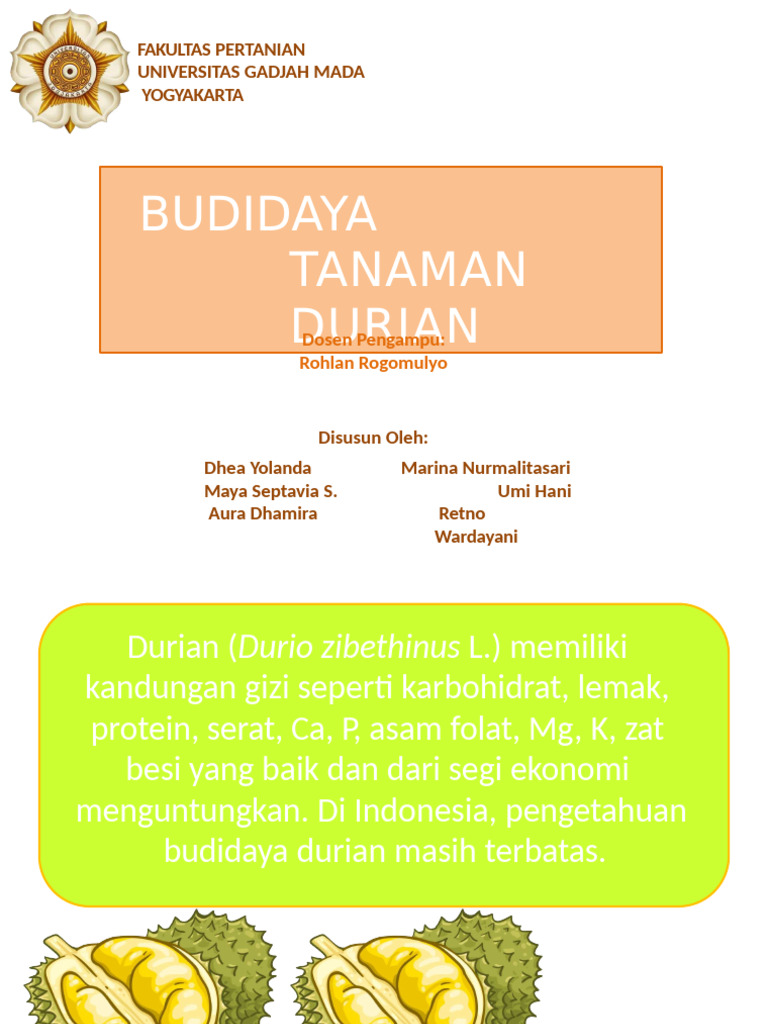 Panduan Budidaya Durian di Indonesia | PDF