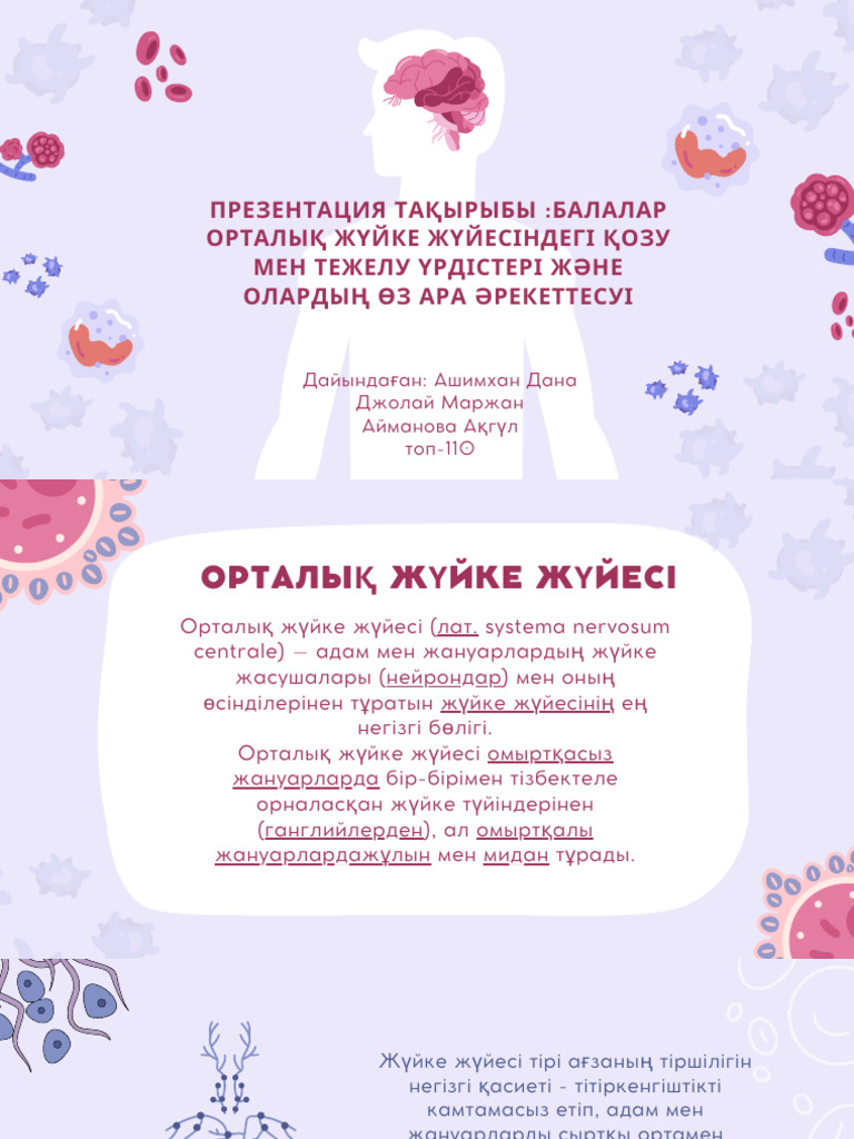 Purple Illustrative the Human Body Presentation (1) | PDF