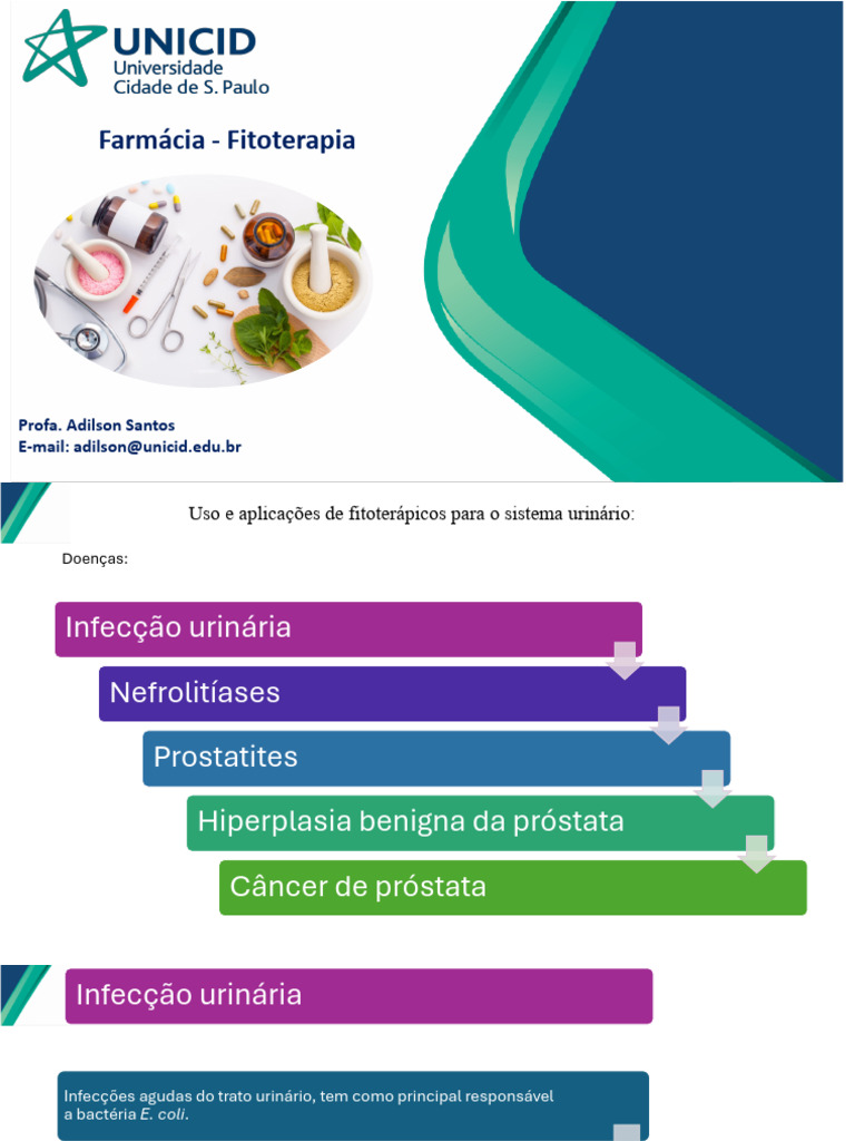 sistema urinário e interações medicamentosas | PDF | Infecção do trato ...