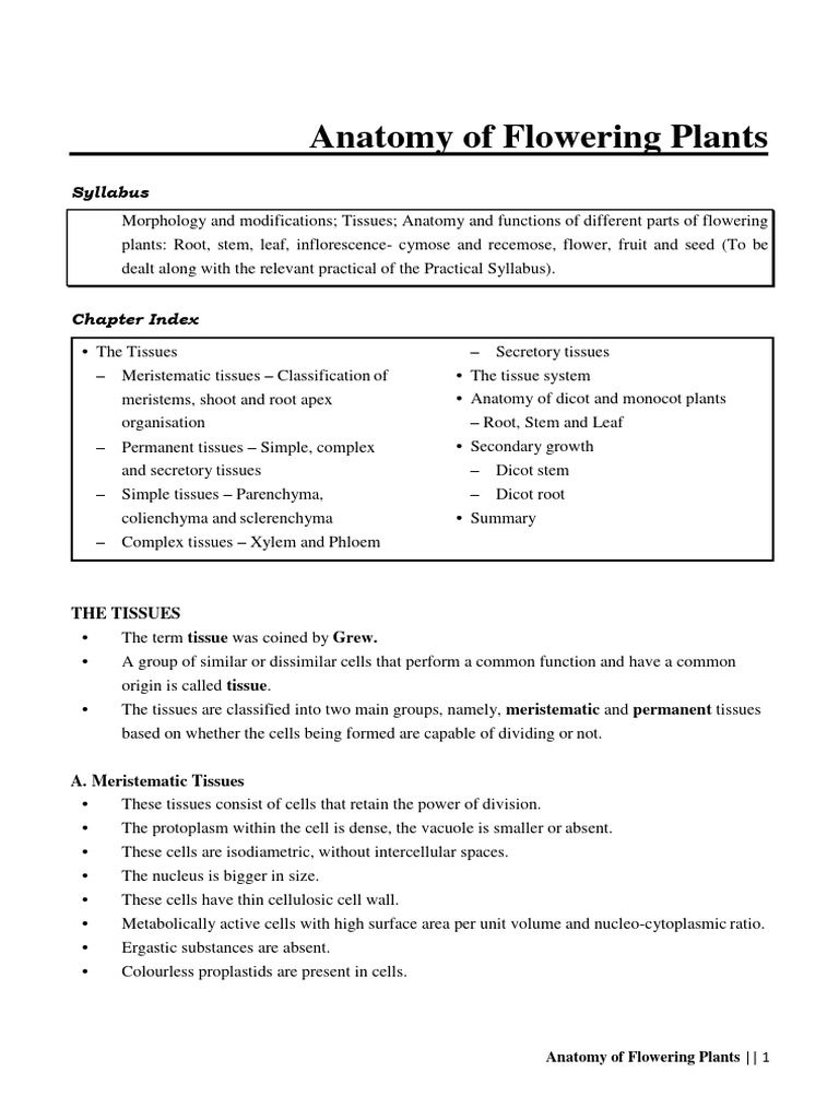 Anatomy and Morphology of Flowering Plants | PDF | Plant Stem | Tissue ...