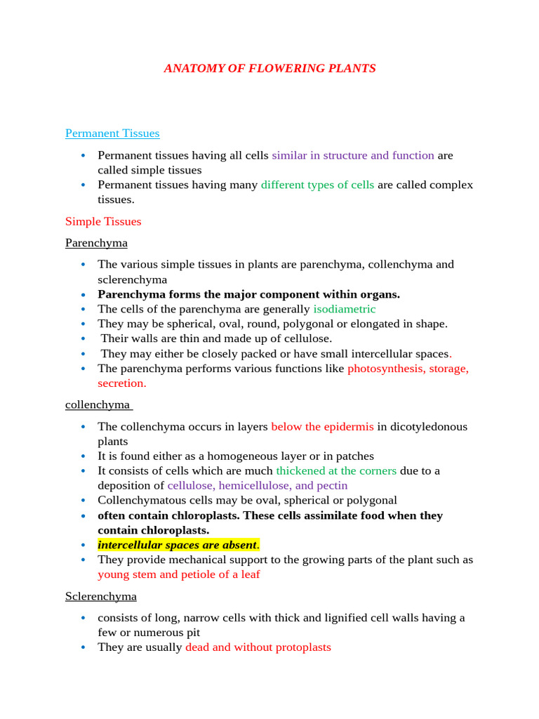 Anatomy of Flowering Plants | PDF | Leaf | Plant Stem