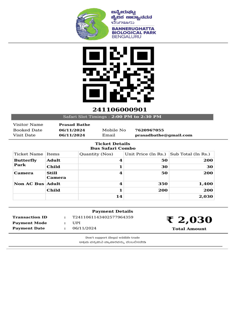 Ticket | PDF