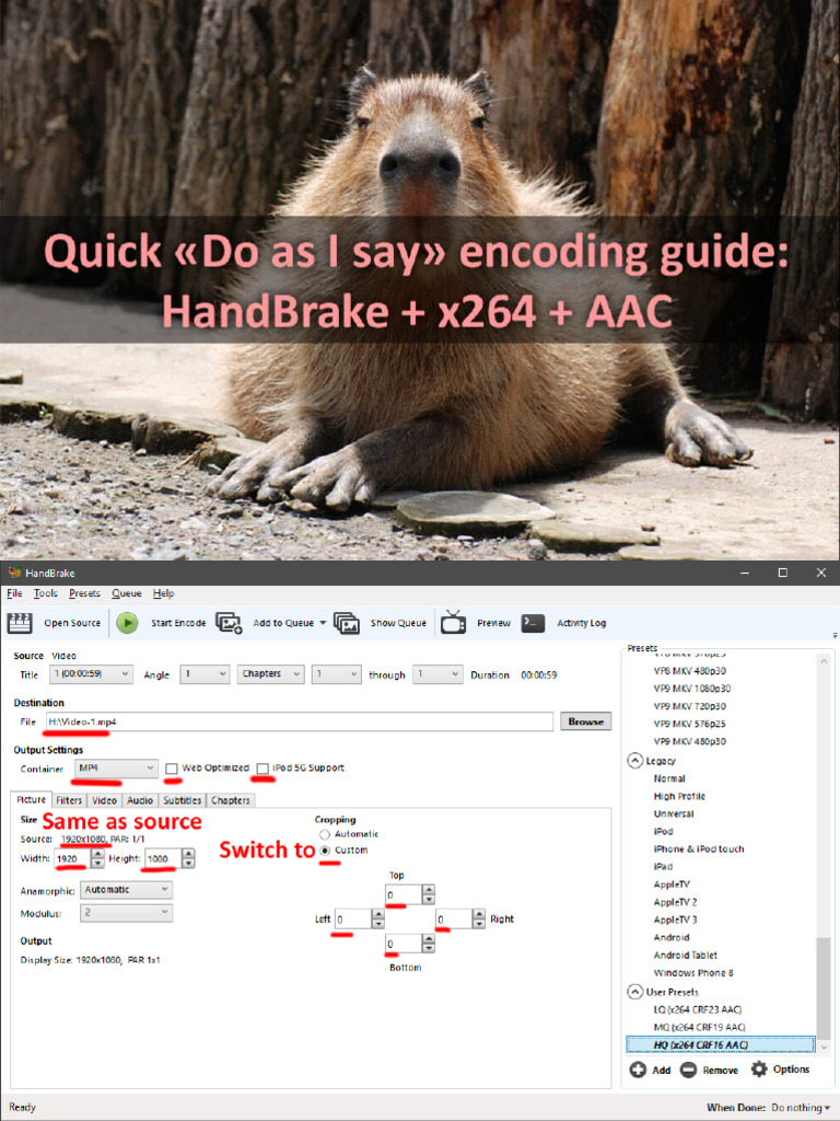 Quick Do As I Say Encoding Guide - HandBrake x264 AAC - 001 | PDF