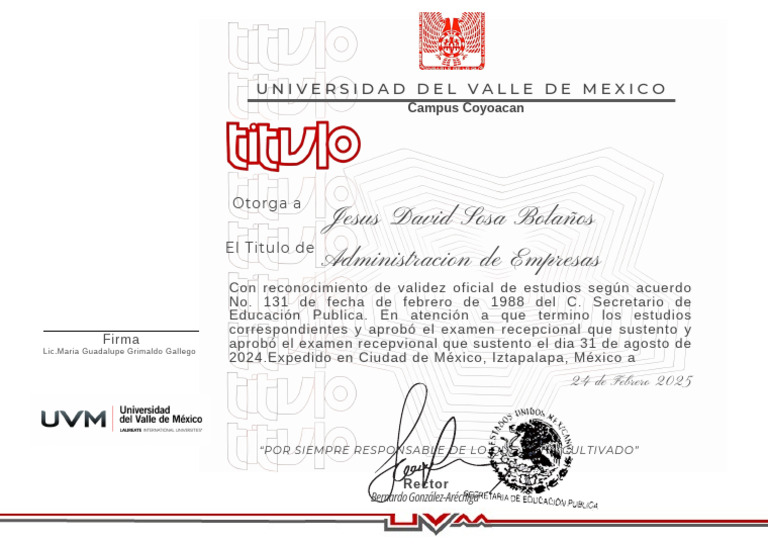 Titulo Uvm PDF | PDF