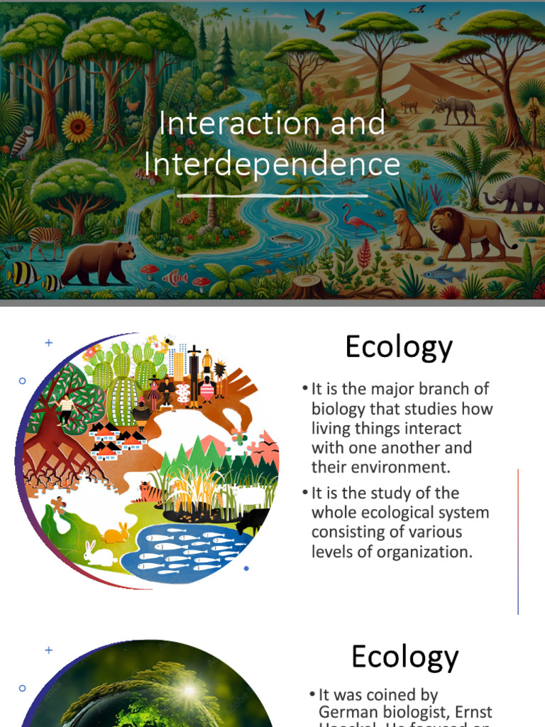 Interaction and Interdependence | PDF | Food Web | Water Cycle