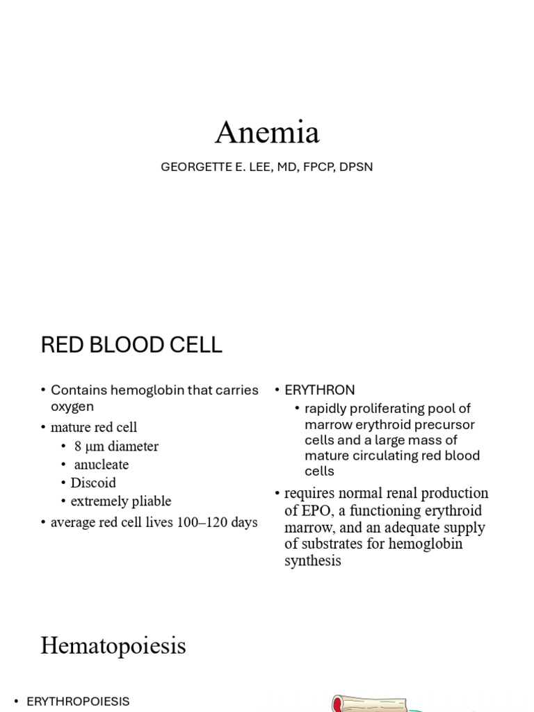 Anemia | PDF | Red Blood Cell | Anemia