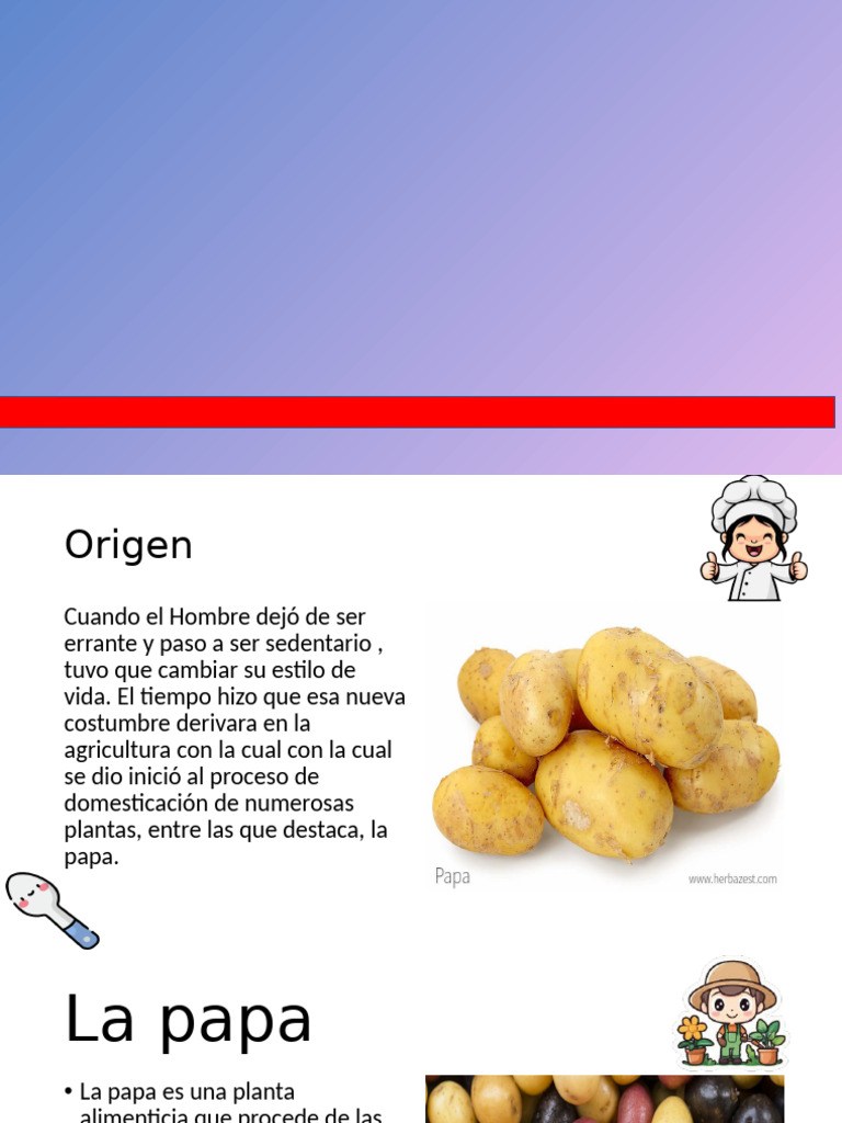 La Papa Judith Pereda | PDF