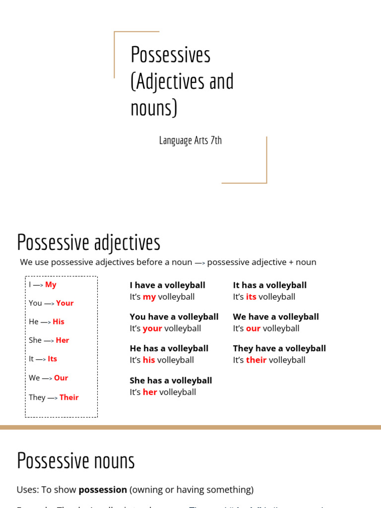 Possessives 7th | PDF