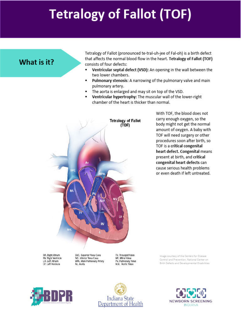 TOF_READ6.8 | PDF | Congenital Heart Defect | Diseases And Disorders