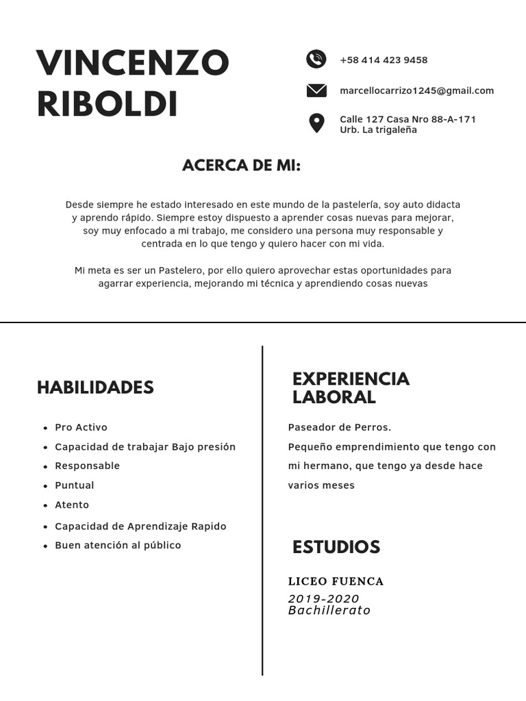 Curriculum Chenzo | PDF