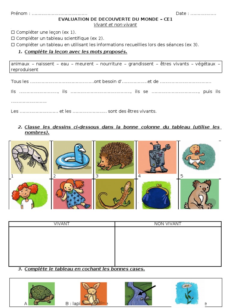 Évaluation Vivant et Non Vivant CE1 | PDF | Méthodes et références ...