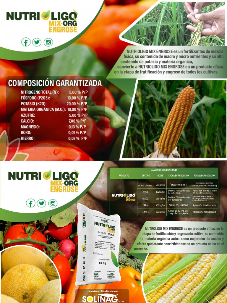 Diptico Nutrioligo Engrose | PDF
