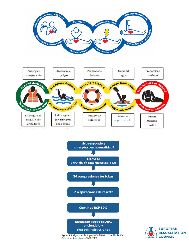 Algoritmos Sva Moodle 2 | PDF