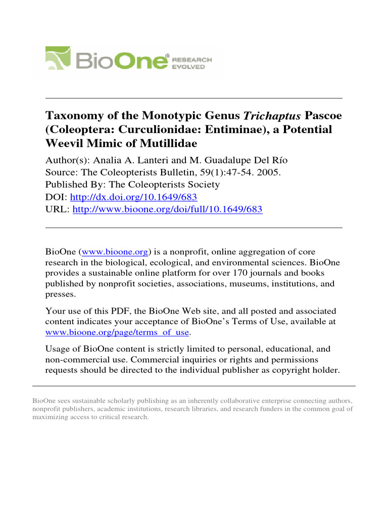Taxonomy of The Monotypic Genus Trichapt | PDF | Mimicry | Anatomical ...