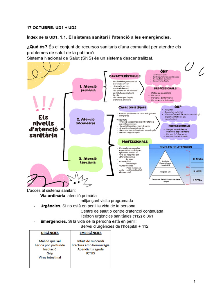 17 OCTUBRE - UD1 + UD2 Primeros Auxilios | PDF