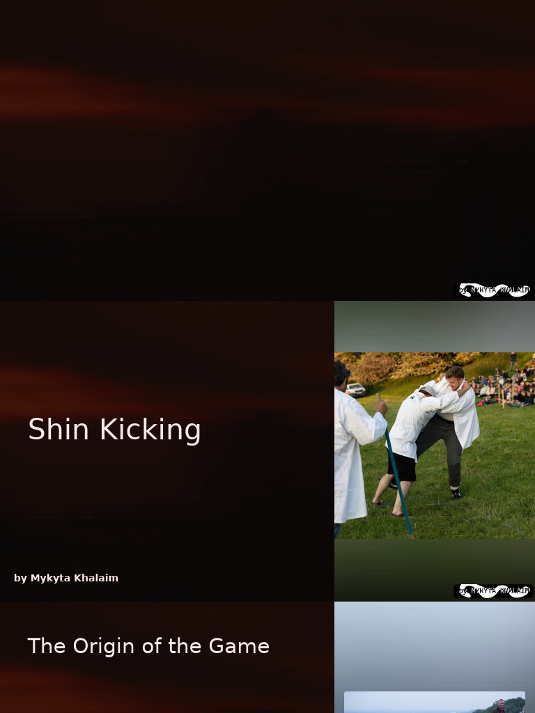 Shin Kicking | PDF