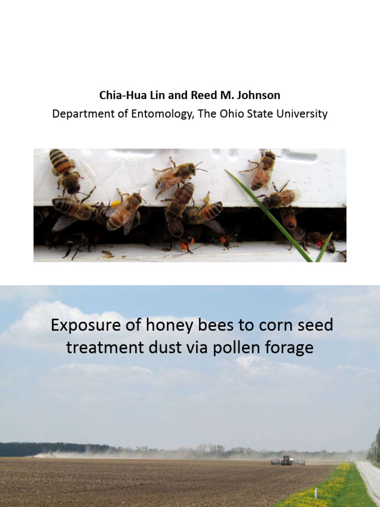 Identifying Pollen Sources Used by Honey | PDF | Bees | Pollen