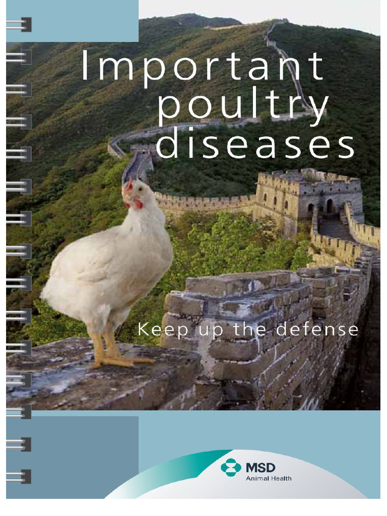 Booklet Poultry Diseases Interactv 1 Copy 2 | PDF