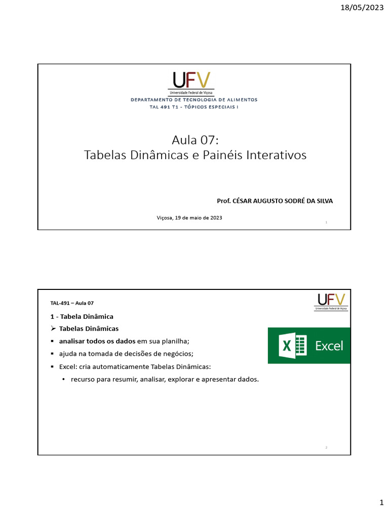 Aula 07 - Tabelas Dinâmicas e Painéis Interativos | PDF | Informática