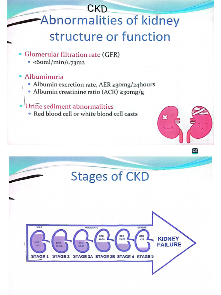 CKD Medicine | PDF