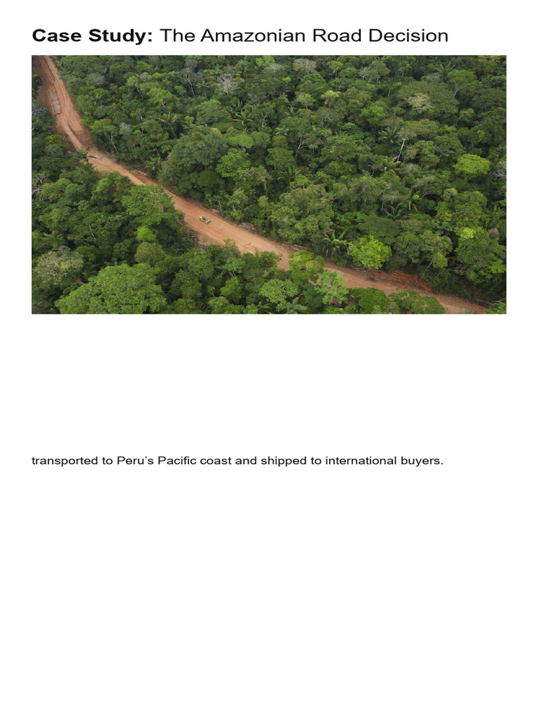 amazonroad | PDF | Amazon Rainforest | Forests