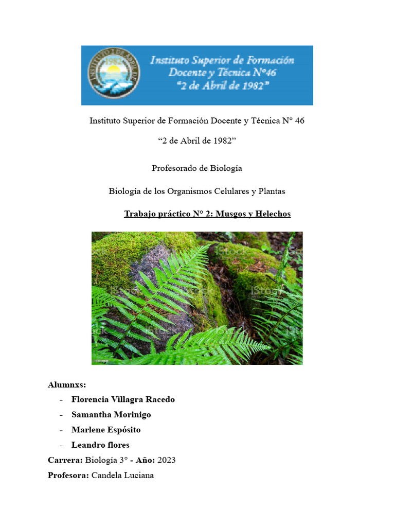 Musgos y Helechos: Adaptaciones y Filogenia | PDF | Hoja | Plantas