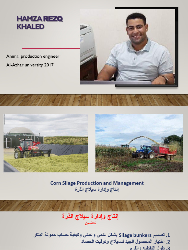 Corn Silage Production and Management | PDF