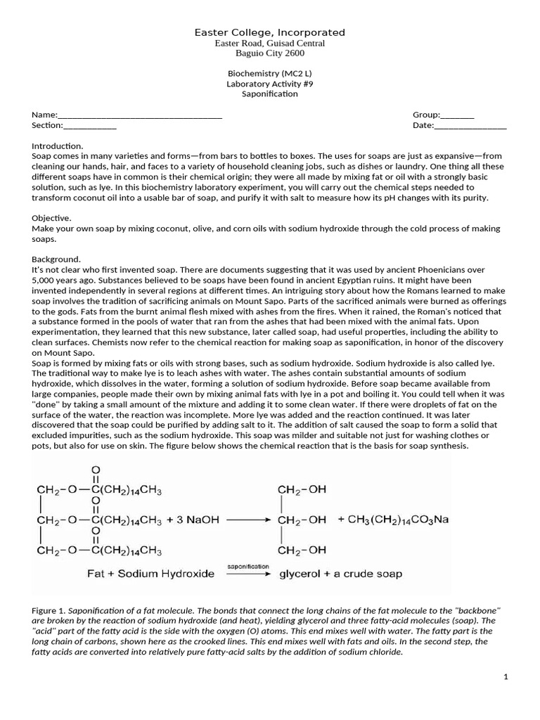 Biochem Experiment 9 | PDF | Soap | Sodium Hydroxide