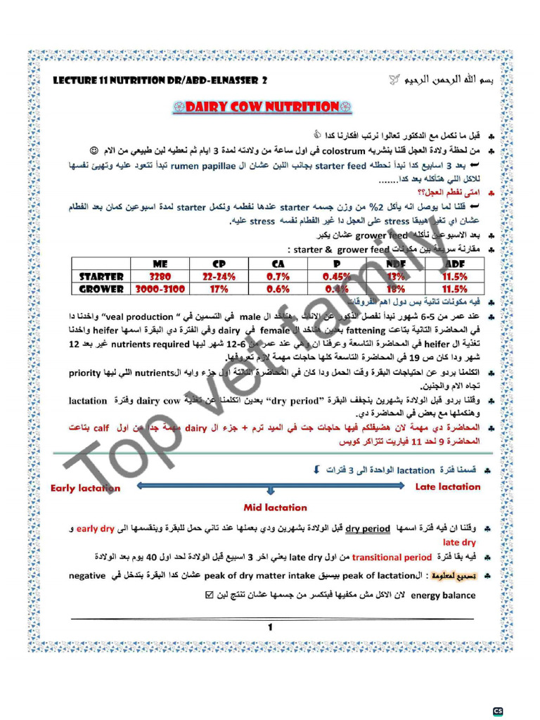 Dairy cow nutrition | PDF