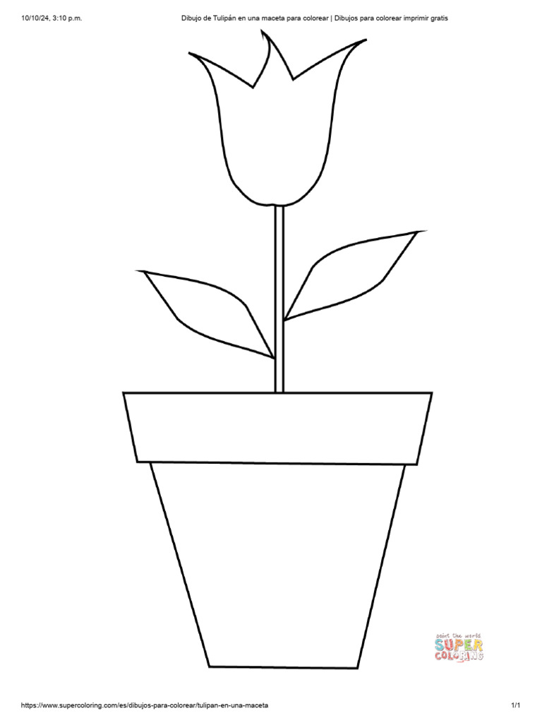 Maceta para Colorear | PDF