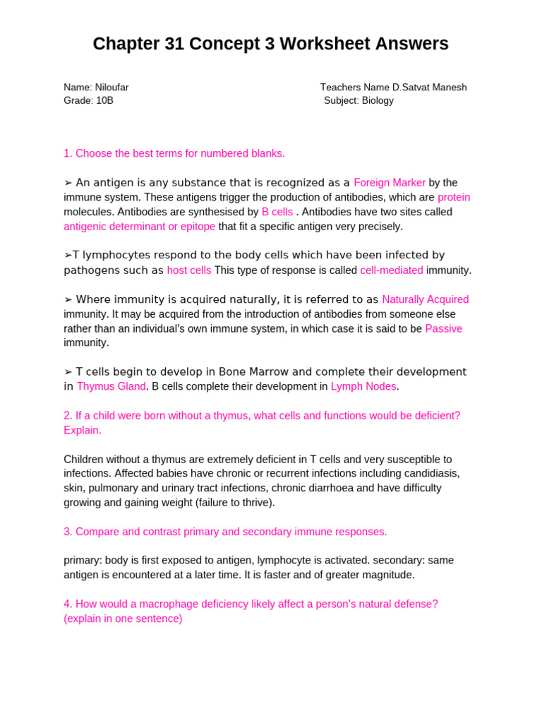 Grade 10B Biology Worksheet | PDF | Immune System | Lymphocyte