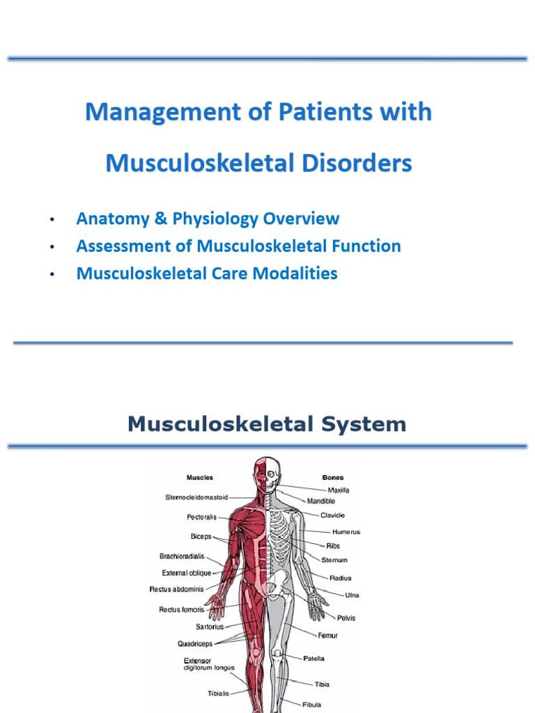 Musculoskeletal Disorders Management Guide | PDF | Bone | Hip